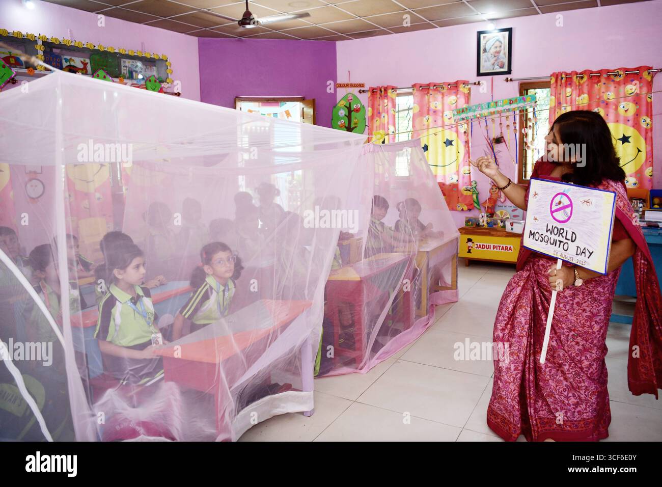 World Mosquito Day Celebration in India A teacher explaining to the ...