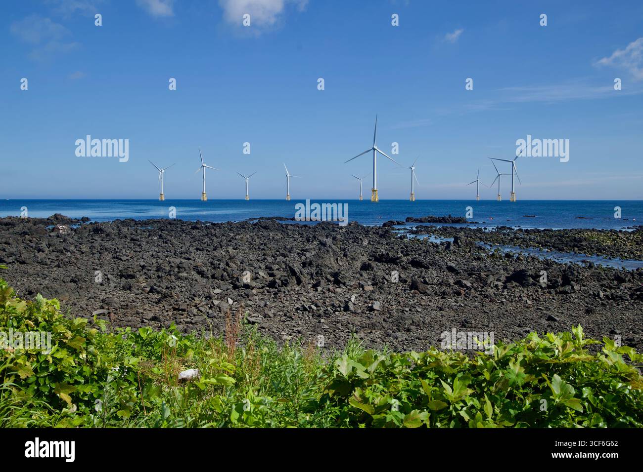 A wide view of Jeju’s offshore wind farm lines the horizon beyond an ...