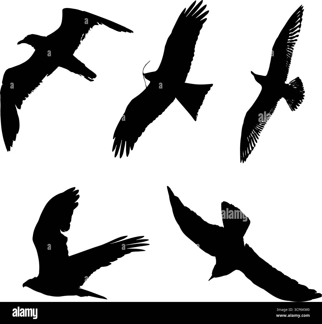 Set of bird flying silhouettes. Vector illustration Stock Vector Image ...