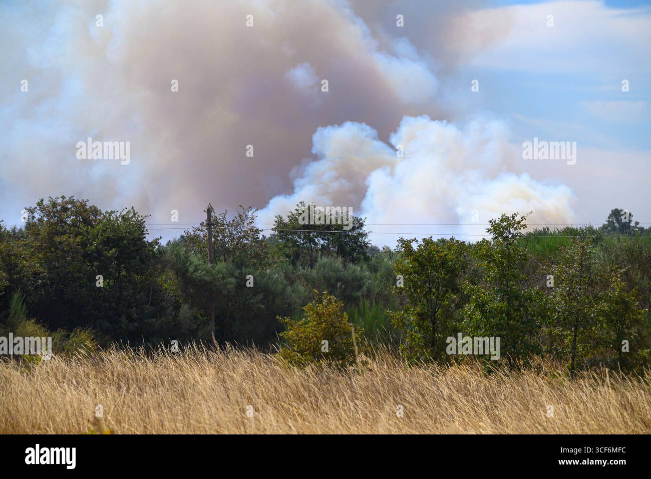 Damage from wildfire seen hi-res stock photography and images - Alamy