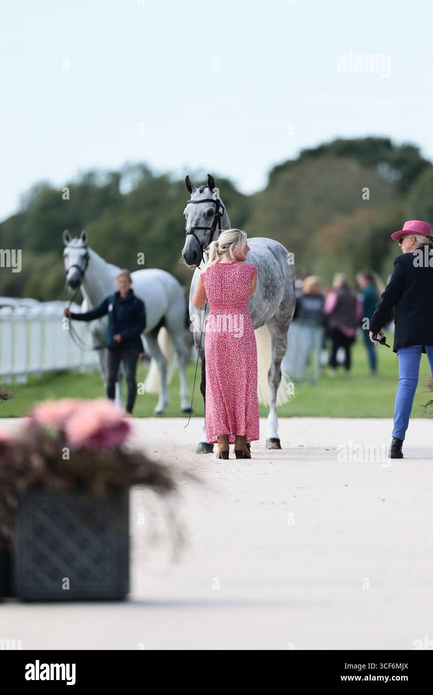 Heidi Coy of Great Britain with Akd Infinity during the first horse ...