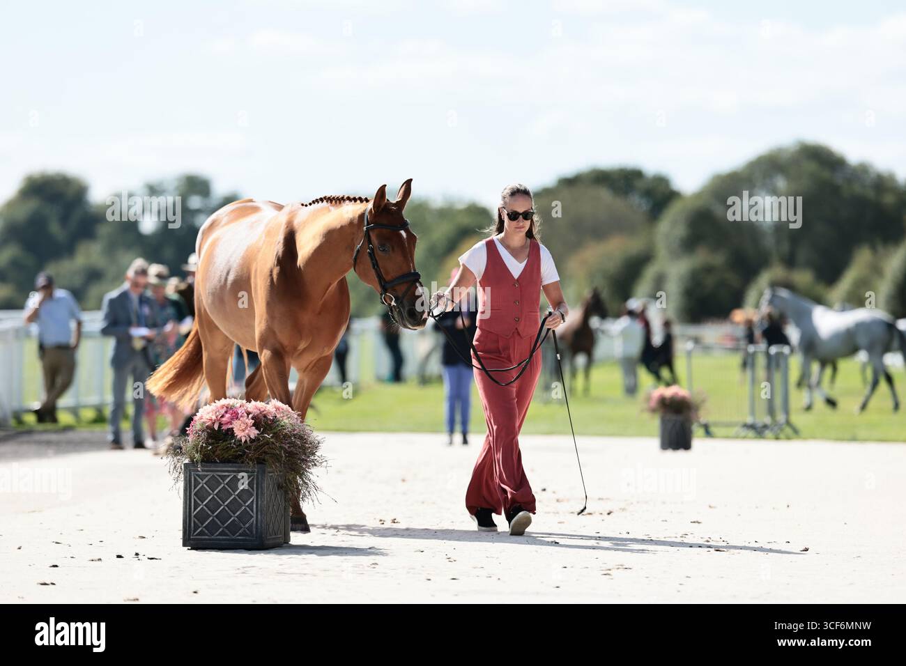 Bella Innes Ker of Great Britain with Loughnatousa Fred during the ...