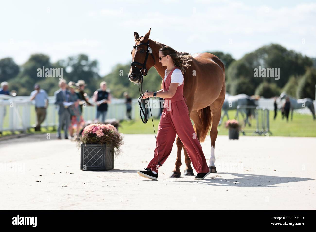 Bella Innes Ker of Great Britain with Loughnatousa Fred during the ...