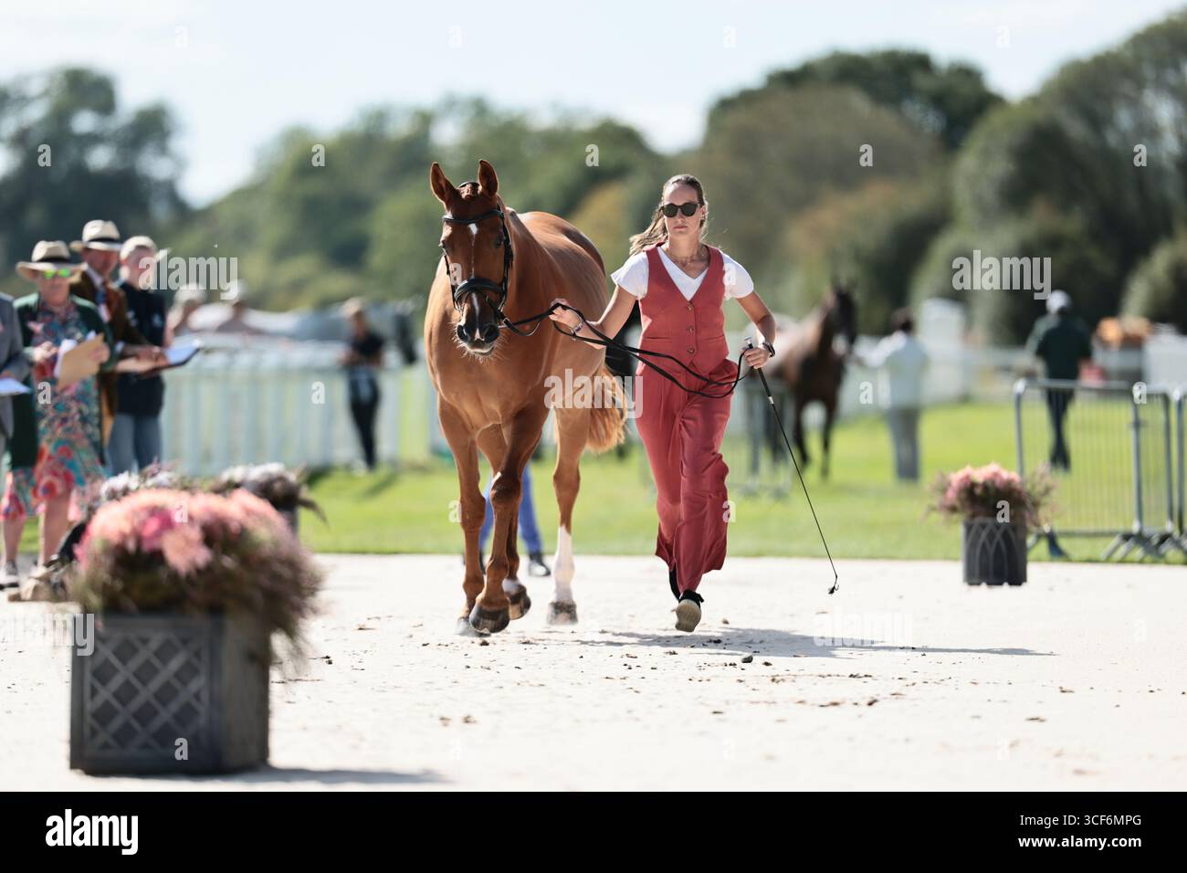 Bella Innes Ker of Great Britain with Loughnatousa Fred during the ...