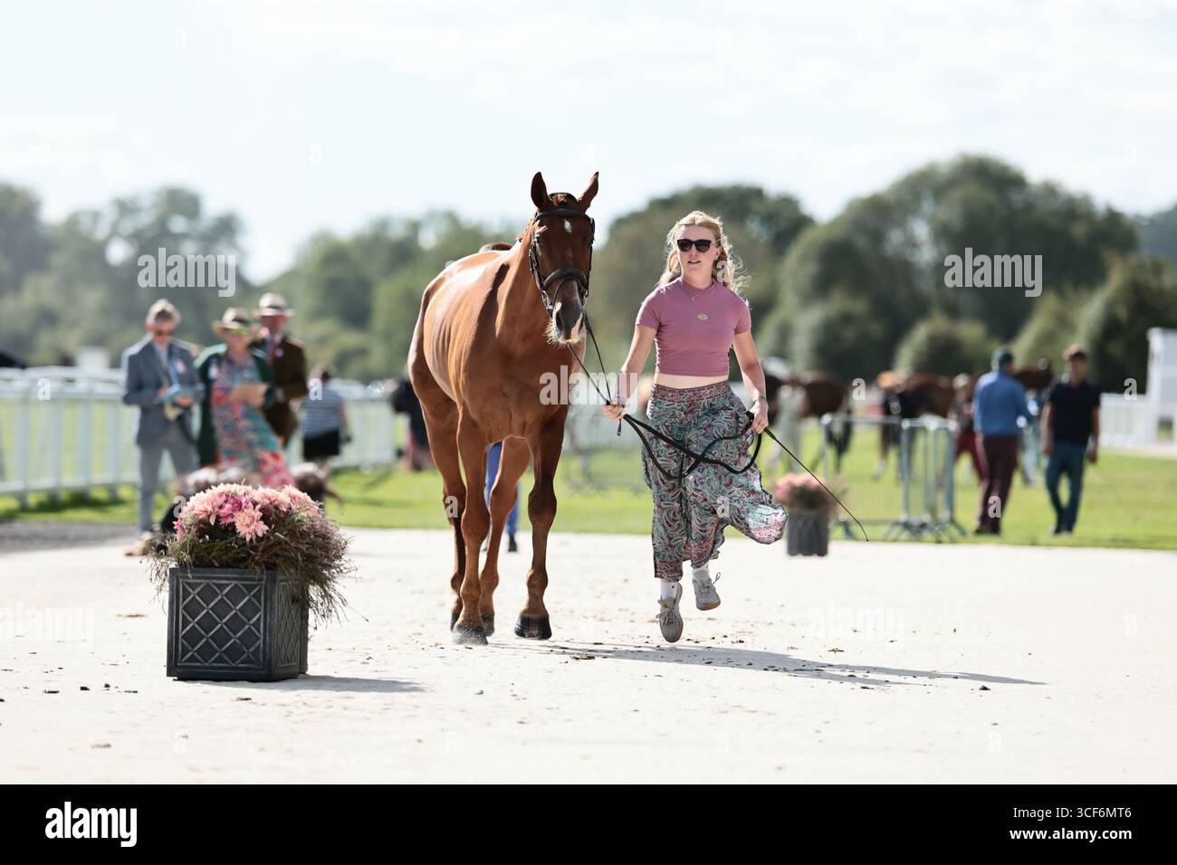 Georgie Frow of Great Britain with Riverstown Royal during the first ...