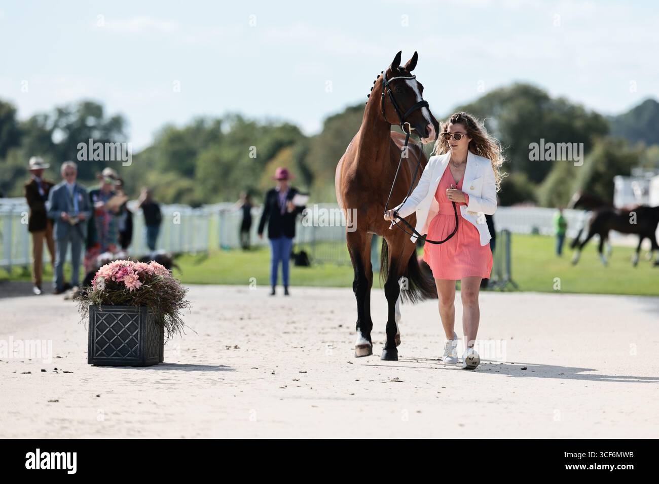 Kristina Hall-Jackson of Great Britain with Juela during the first ...