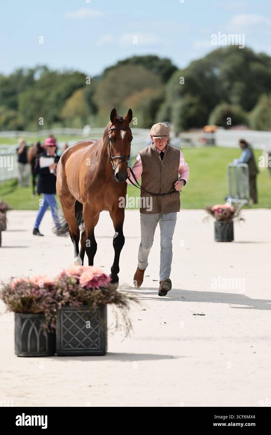 Matthew Heath of Great Britain with Narco Jdv during the first horse ...