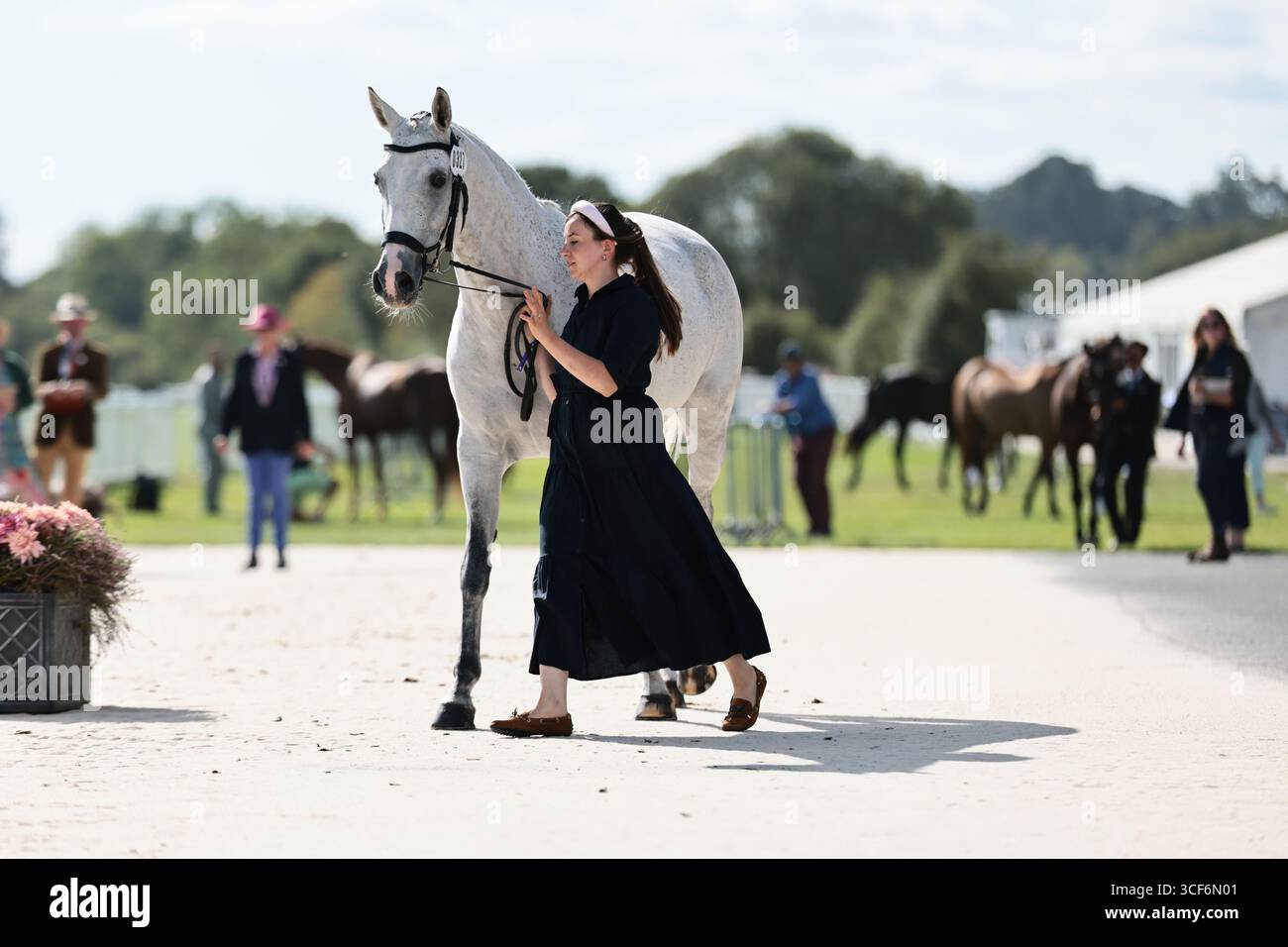 Teresa Stokar of Switzerland with Isalottie during the first horse ...