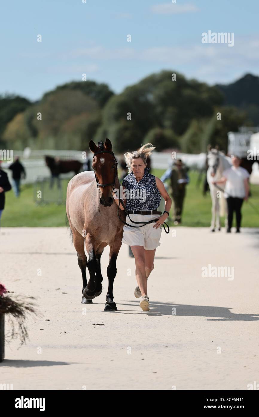 Susan Young of Great Britain with Jump Start Ii during the first horse ...