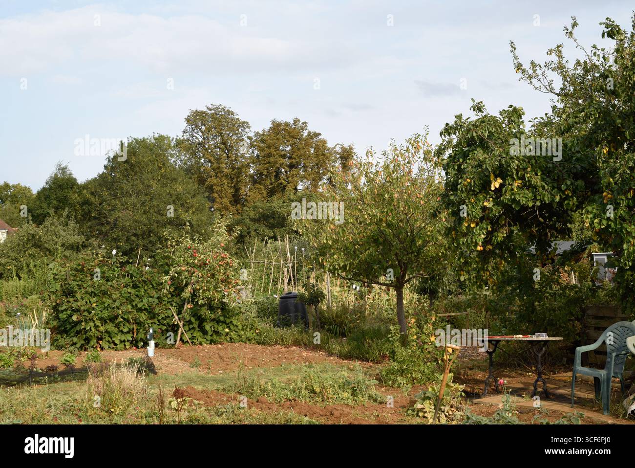 View of several vegetable plots during evening on an allotment patch in ...