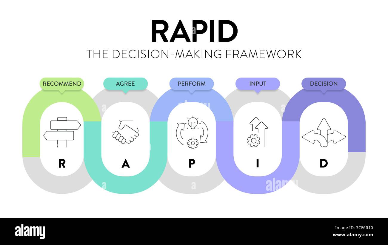 RAPID framework infographic diagram chart banner with icon vector for ...
