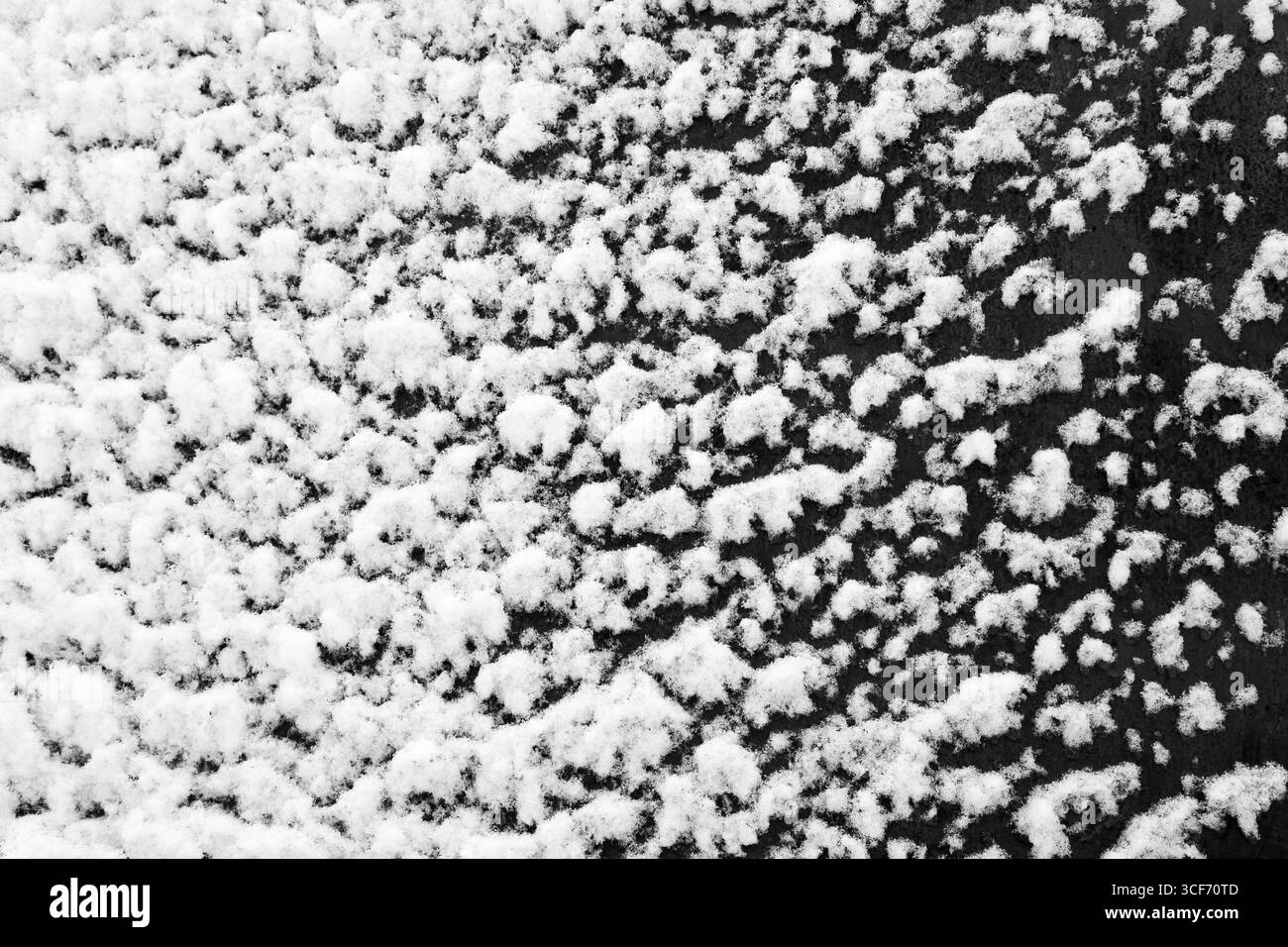 Lies on a Black and White Stock Photos & Images - Alamy