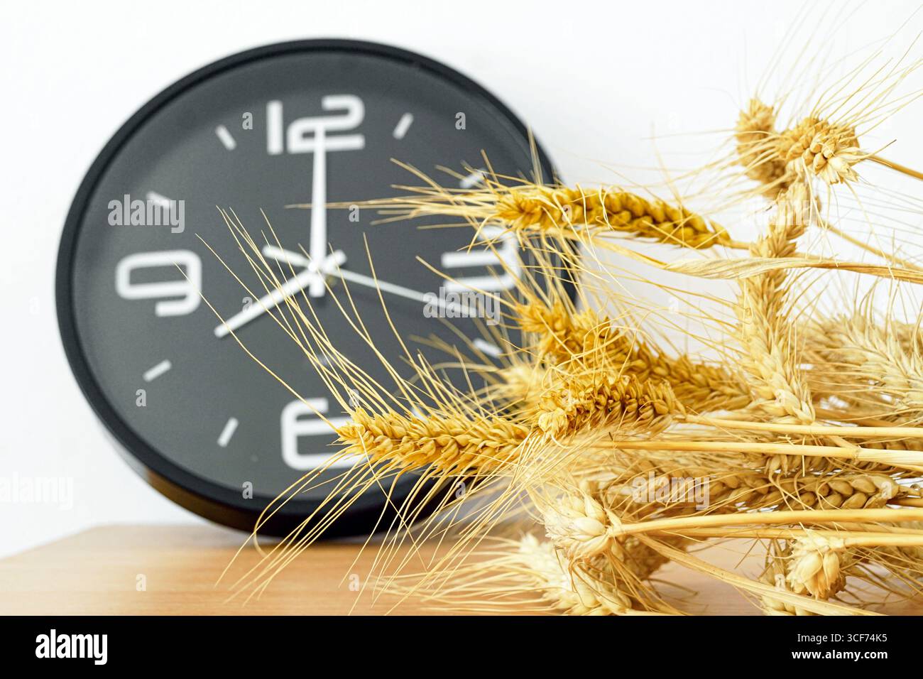 Circadian nutrition timing: wheat stalks and 8 o'clock showing optimal ...