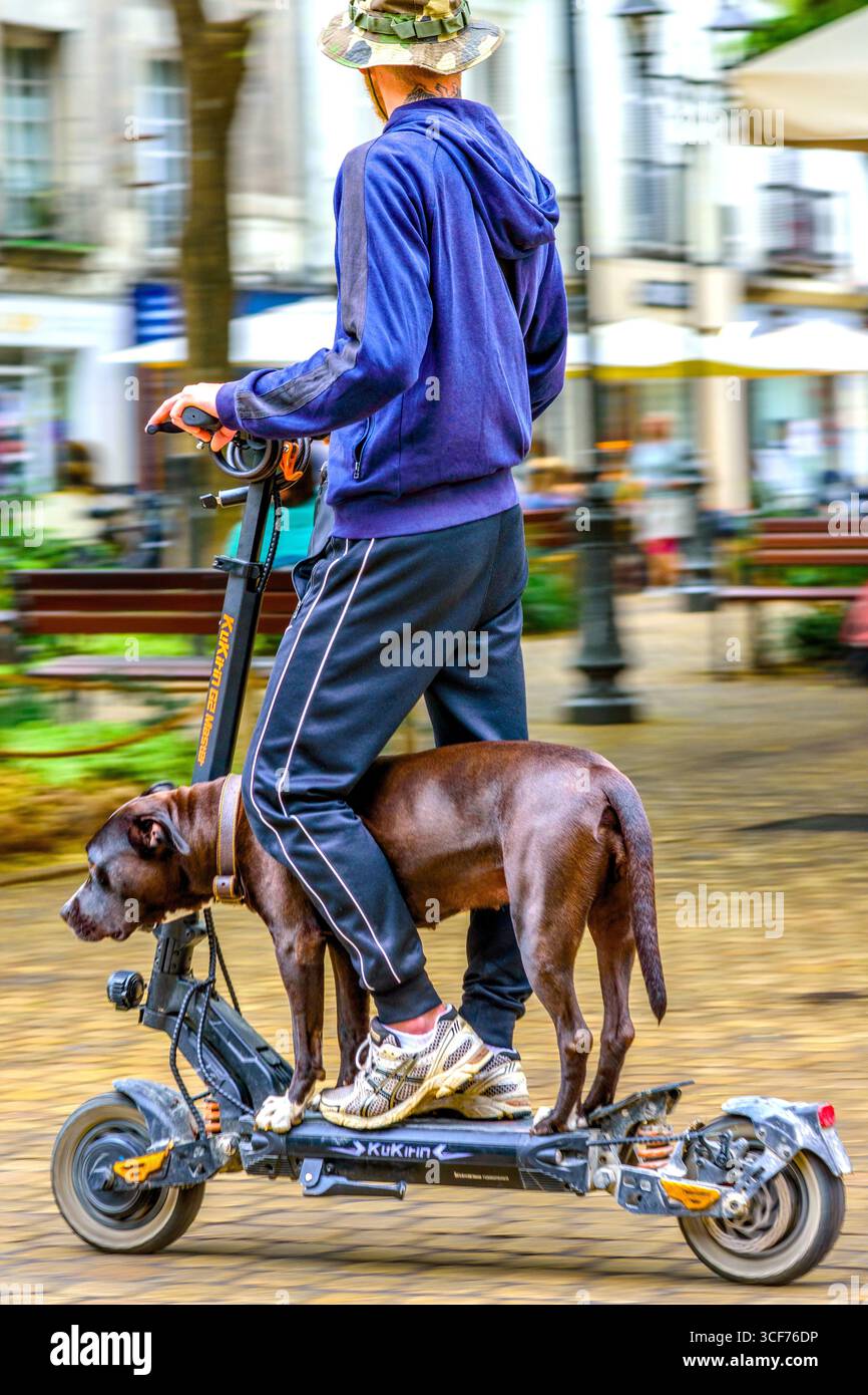 Kukirin g2 master hi-res stock photography and images - Alamy