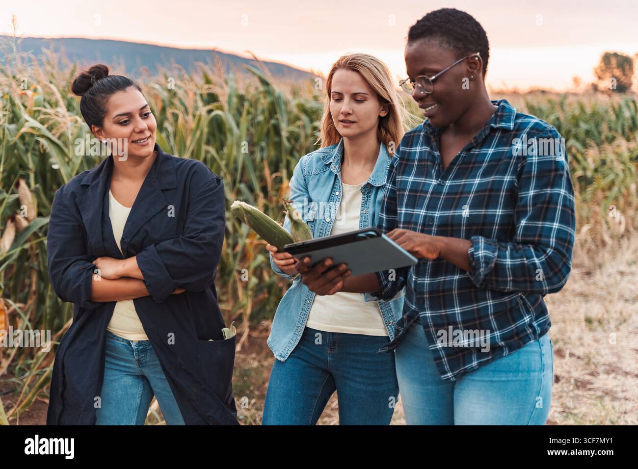 Farm landscape smart agriculture analyzing hi-res stock photography and ...