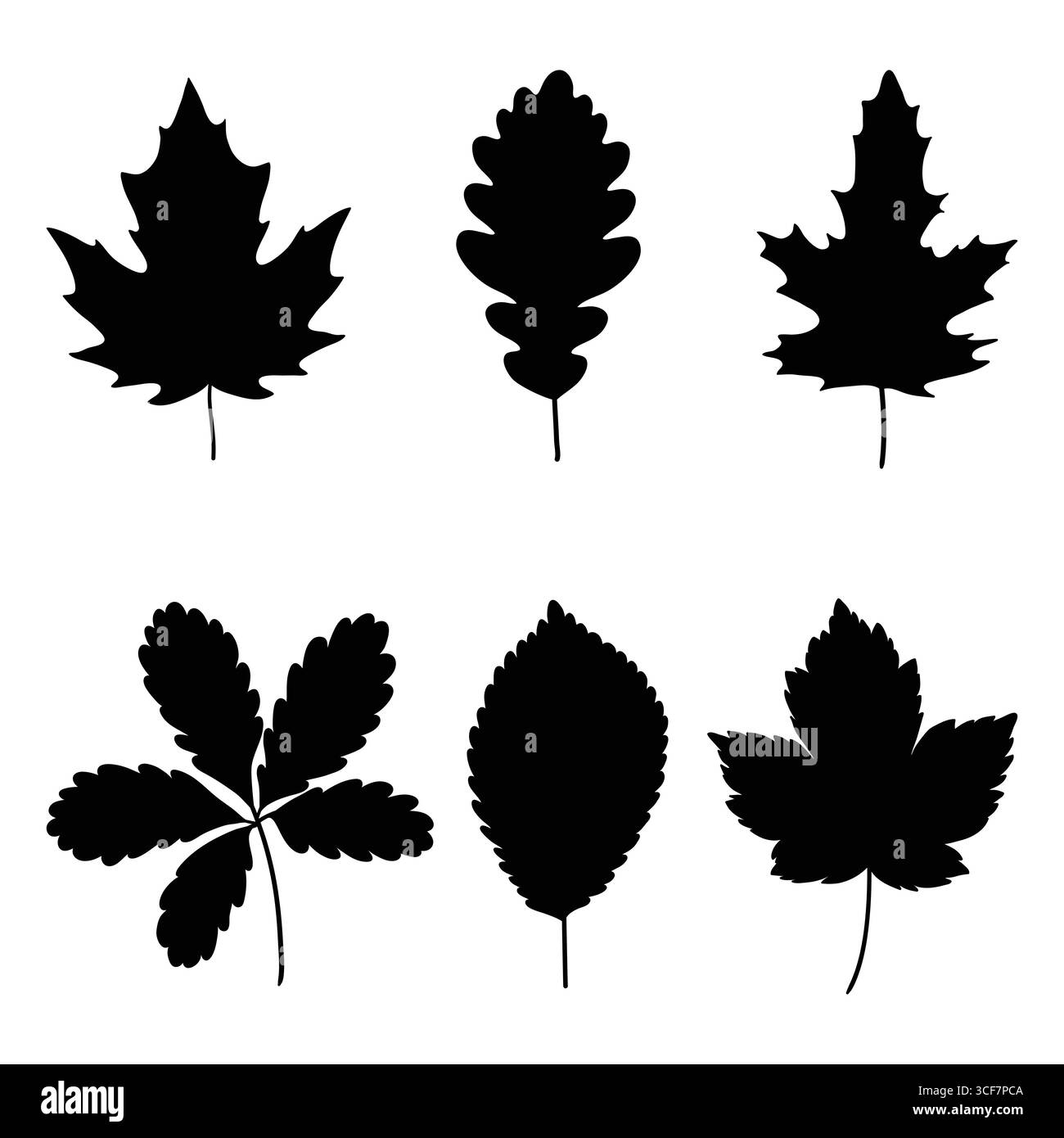 Autumn fall leaves silhouette set. Autumn black and white leaves, maple ...