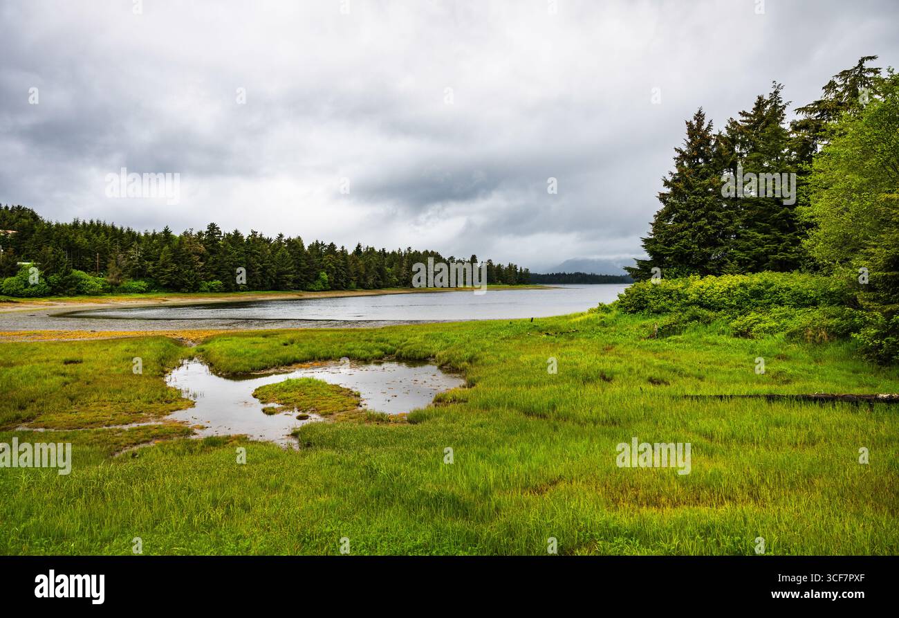 Wetland at the head of an inlet north of the Klawock-Hollis Highway ...