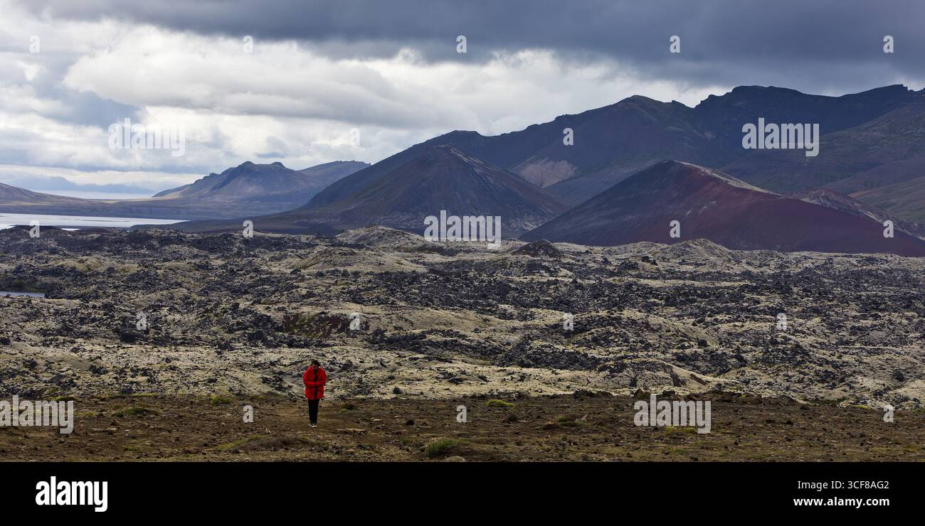 Berserkjahraun lava field selvallavatn hi-res stock photography and ...