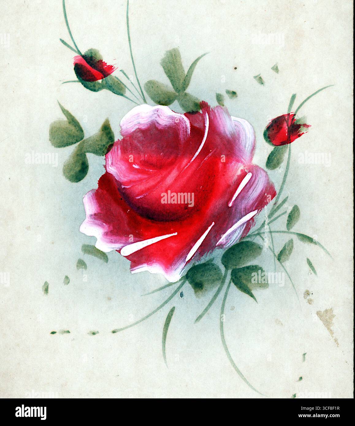 This 1917 hand-painted floral study features a richly detailed red rose ...
