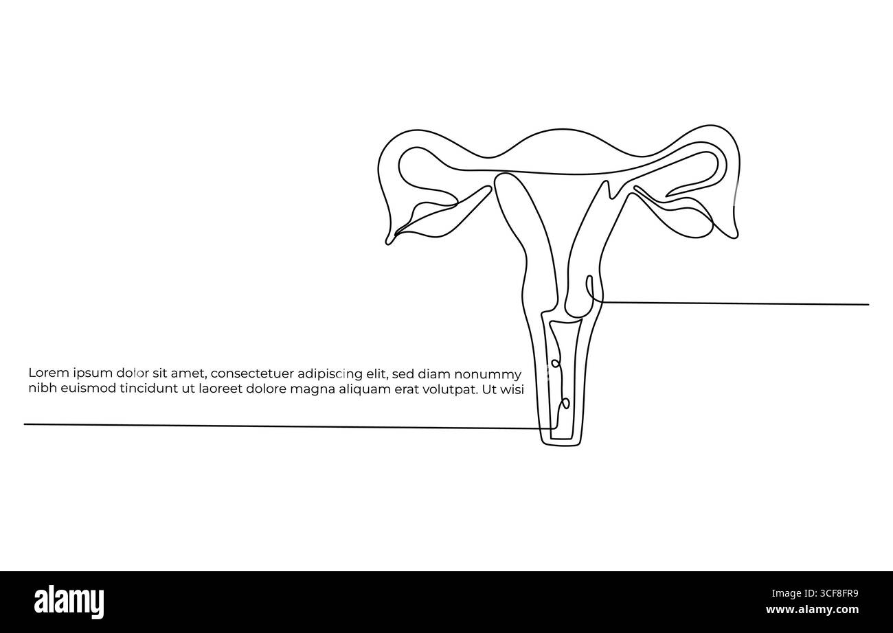 Endometrium vector vectors Black and White Stock Photos & Images - Alamy