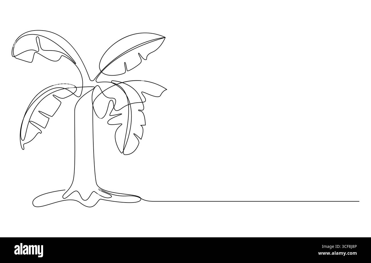 Line art banana tree illustration on white, minimalist botanical art ...