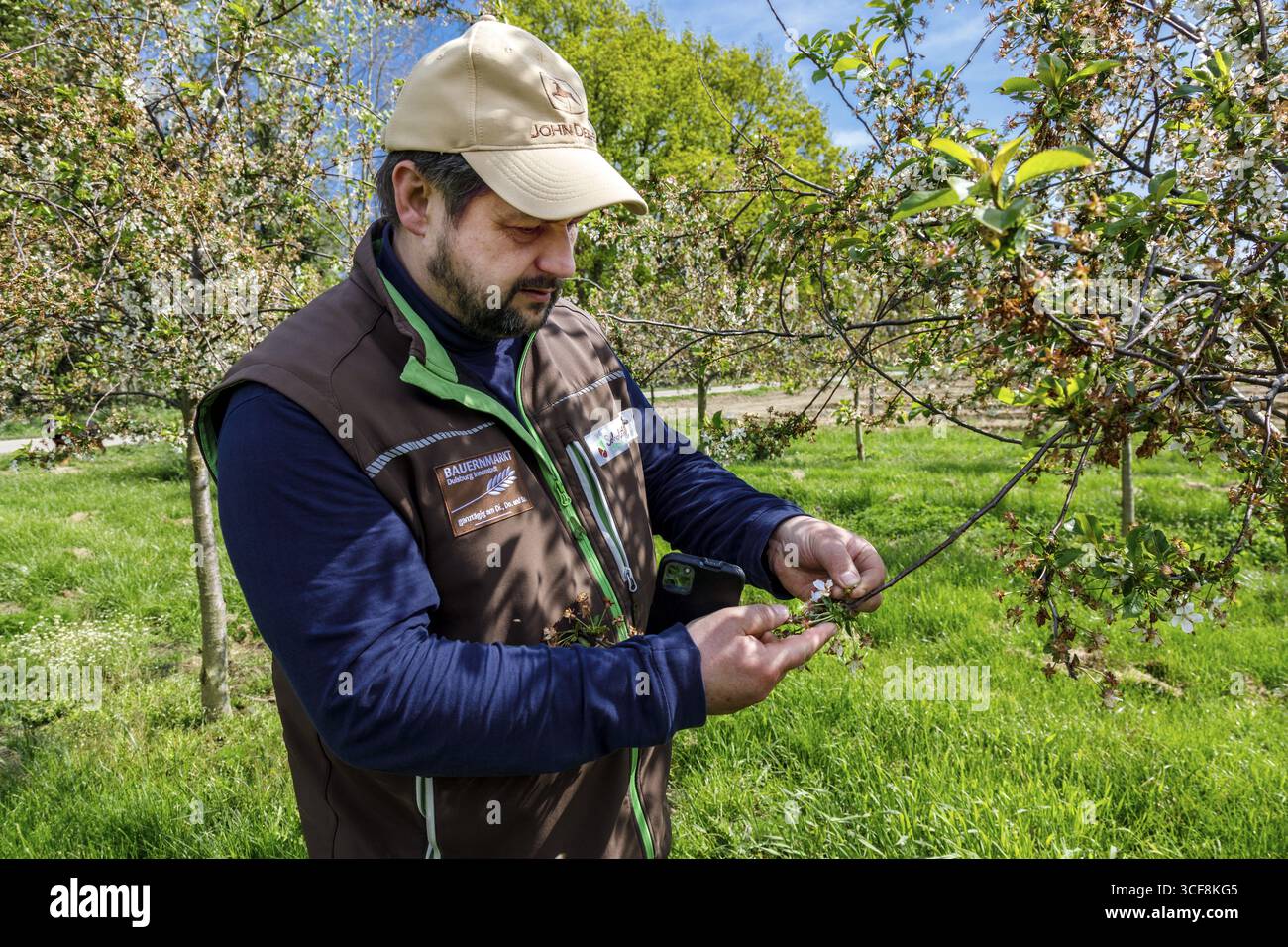 Germany inspect fruit hi-res stock photography and images - Alamy