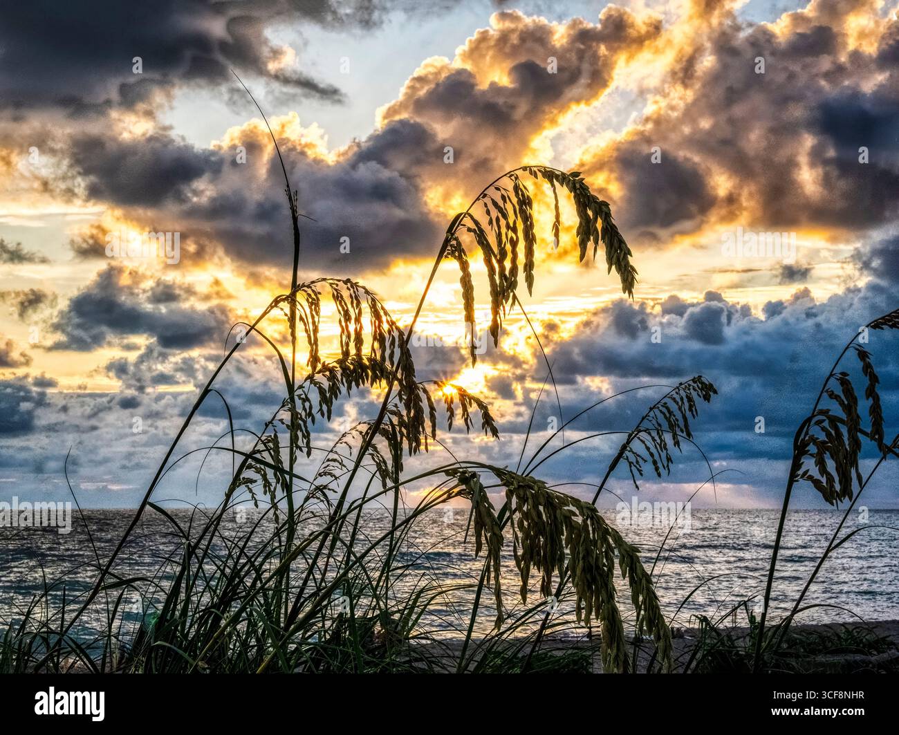 Sunset over the Gulf of America formerly the Gulf of Mexico from Venice ...