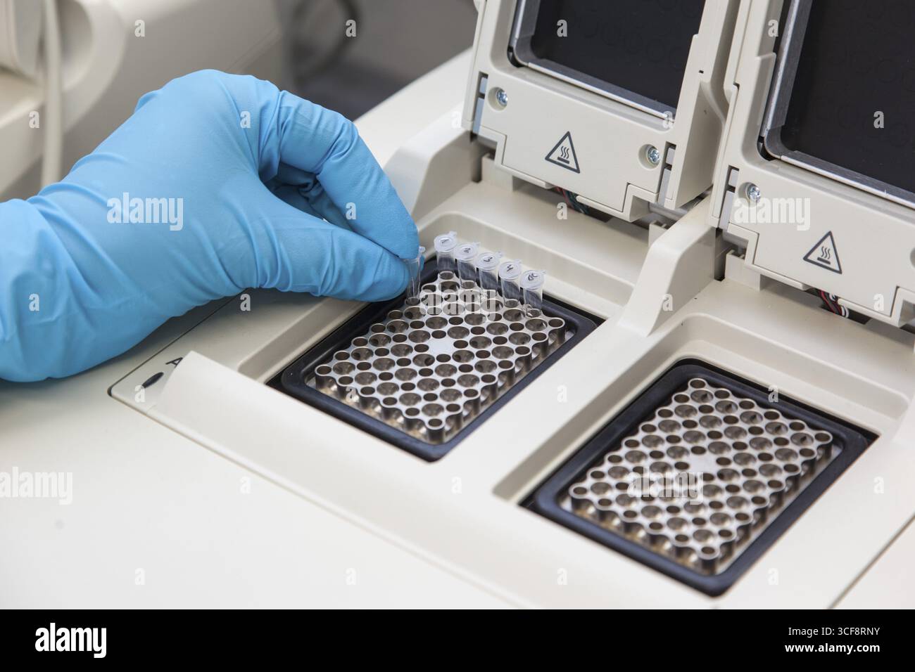 Scientist of biology at the PCR cycler in the genetic engineering ...