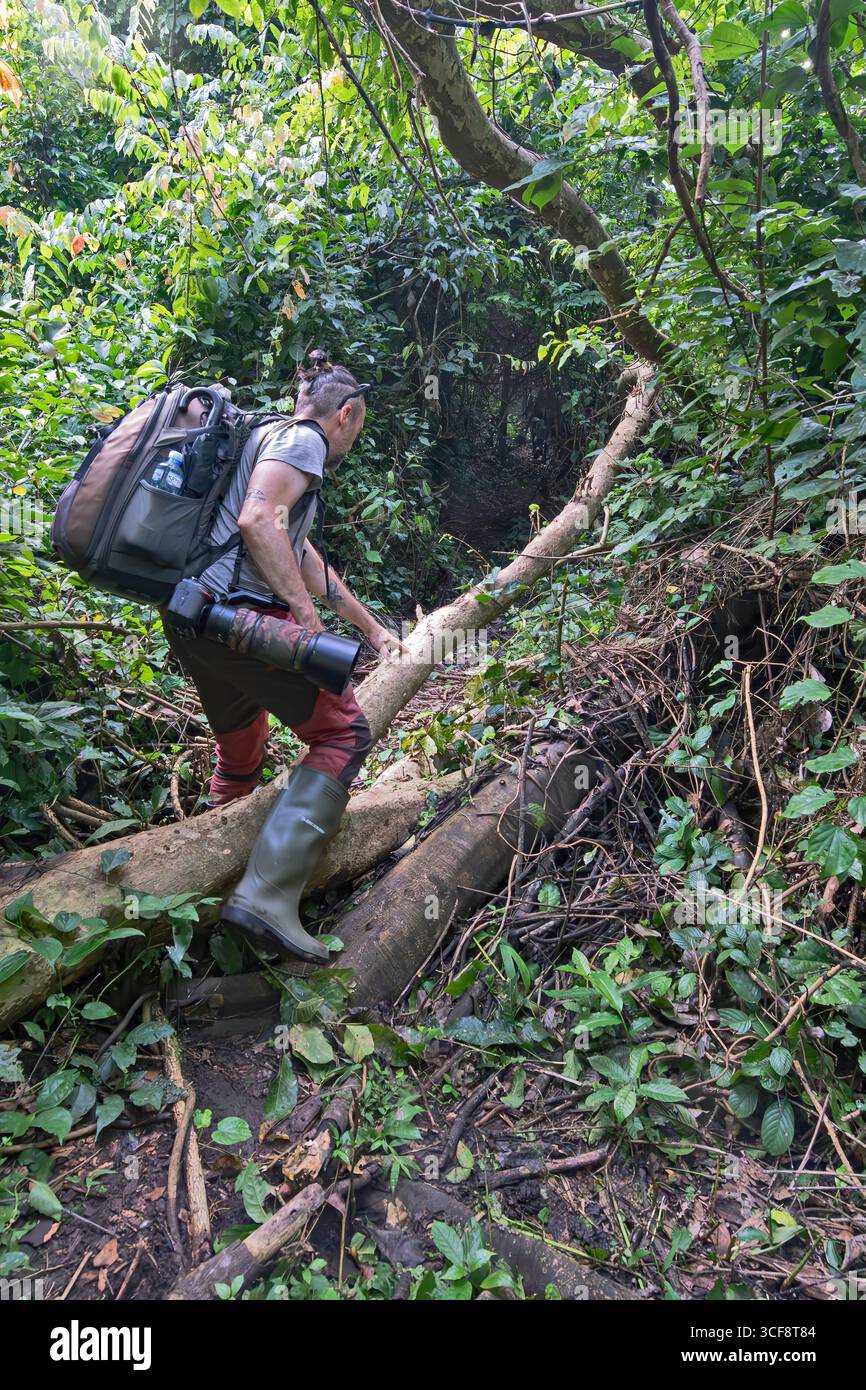 Trekking in the forest Stock Photo - Alamy
