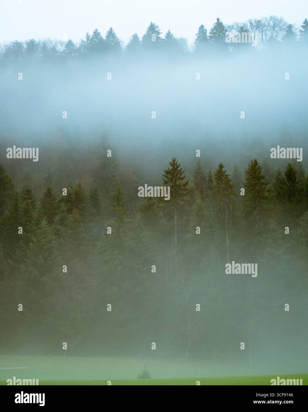 French countryside hills, mysterious dark green trees and shape in ...