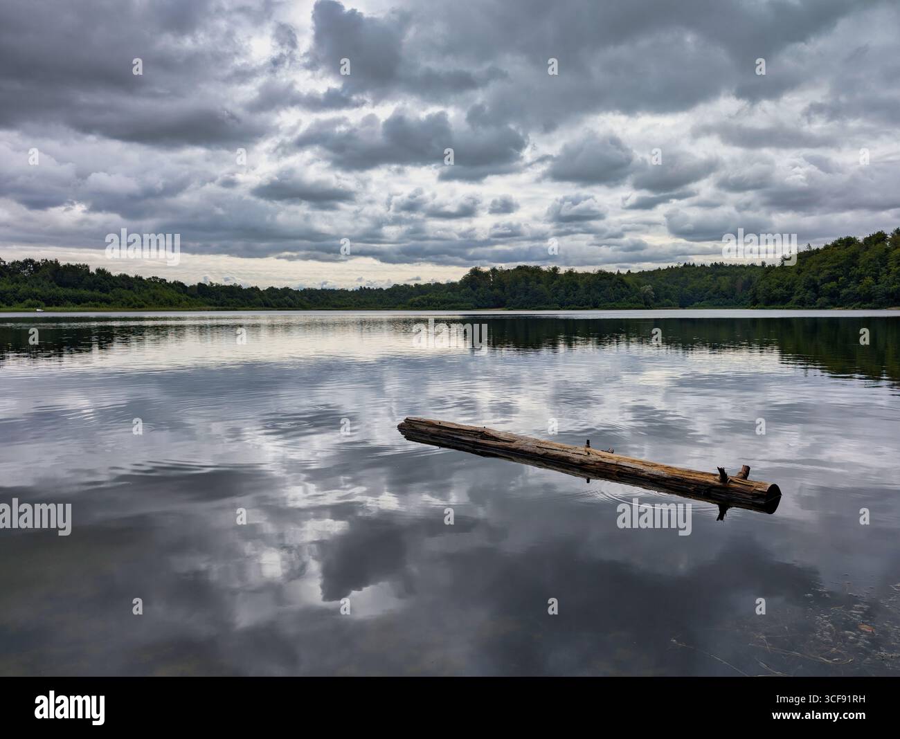 A quiet lake reflects moody gray clouds above and lush green trees ...