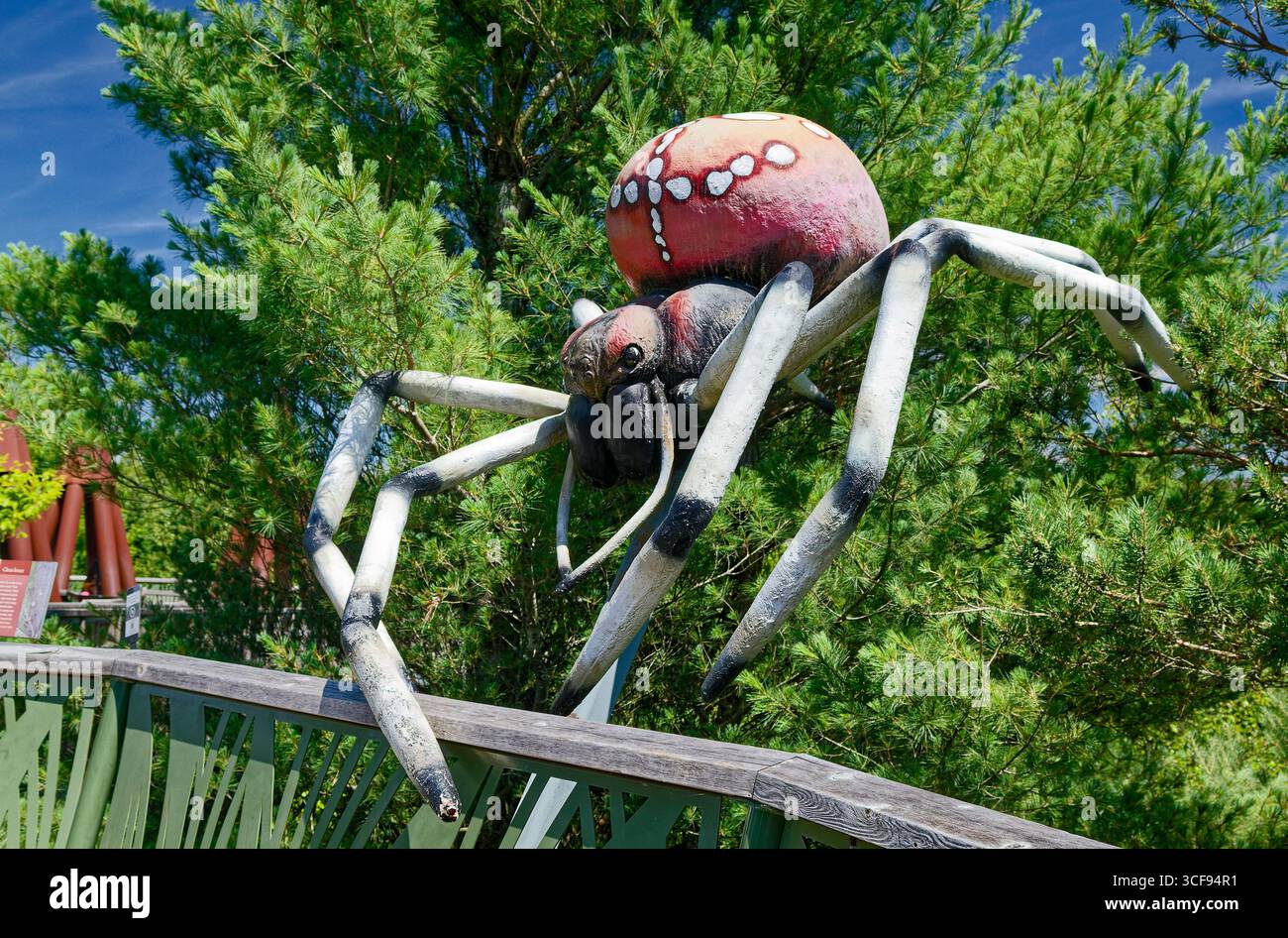 large model of spider, outdoor spider exhibit, beside walkway ...