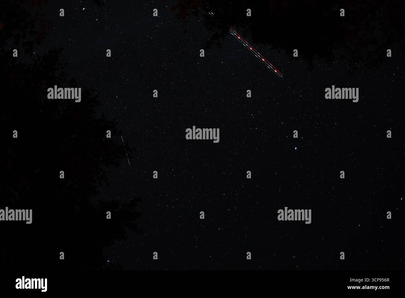 Night sky with stars, meteor, and airplane light trail above forest ...