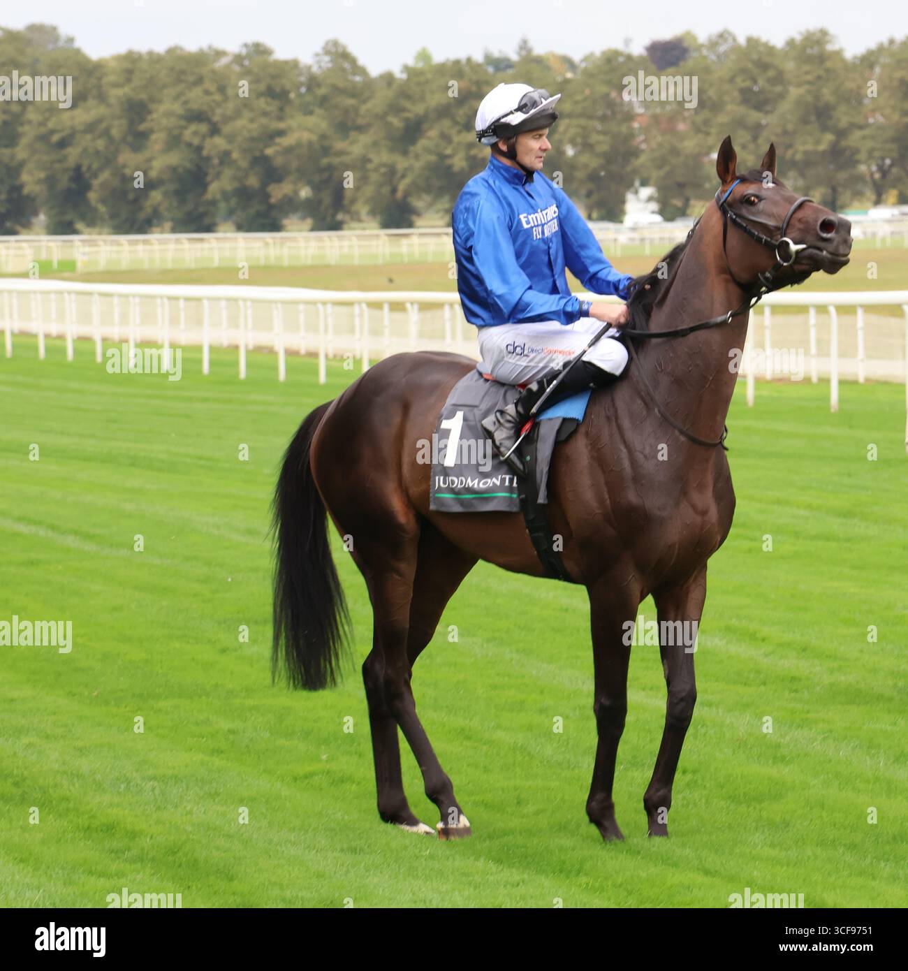 Jockey Robert Havlin riding Birr Castle at York Racecourse before the ...