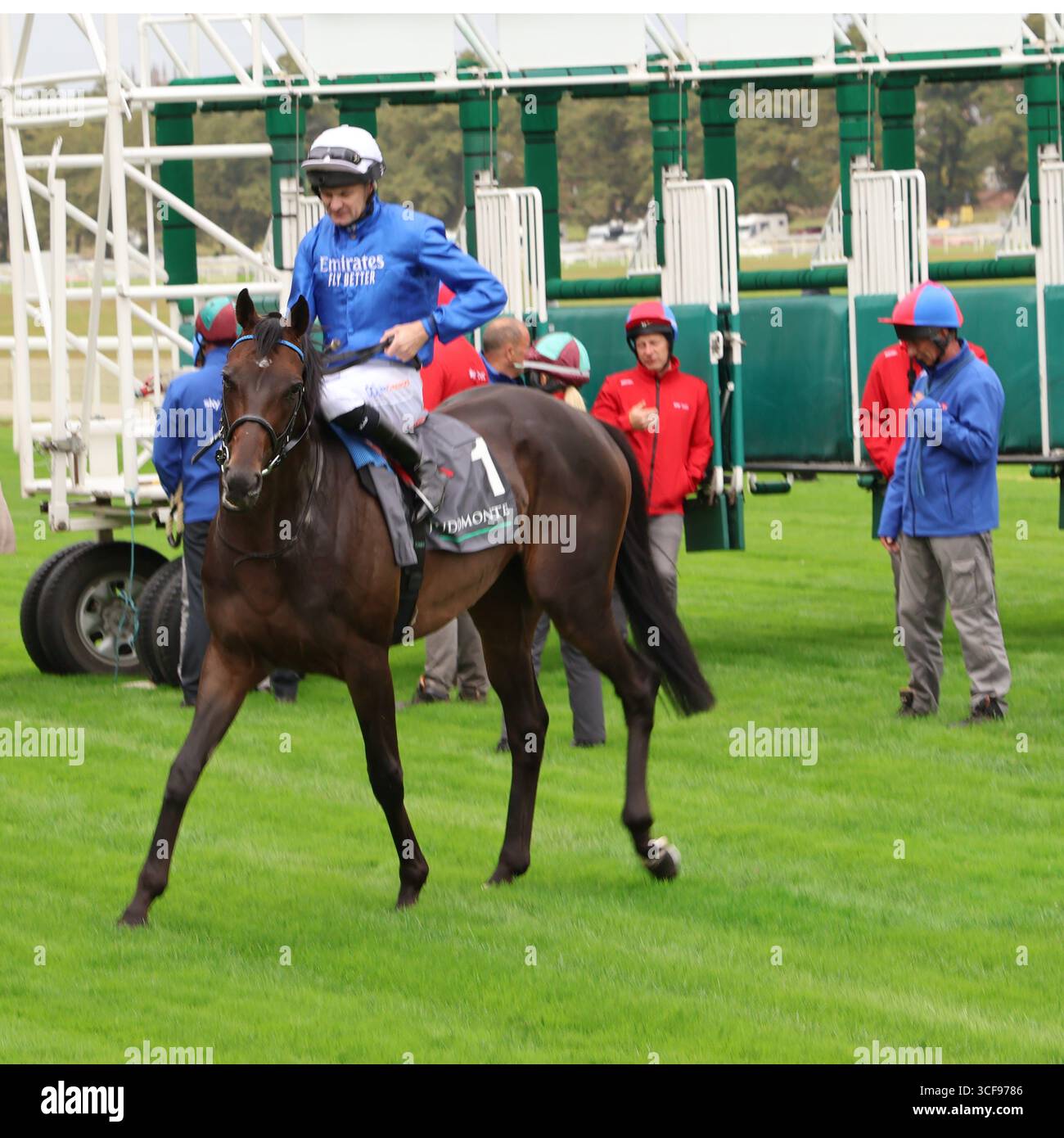 Jockey Robert Havlin riding Birr Castle at York Racecourse before the ...