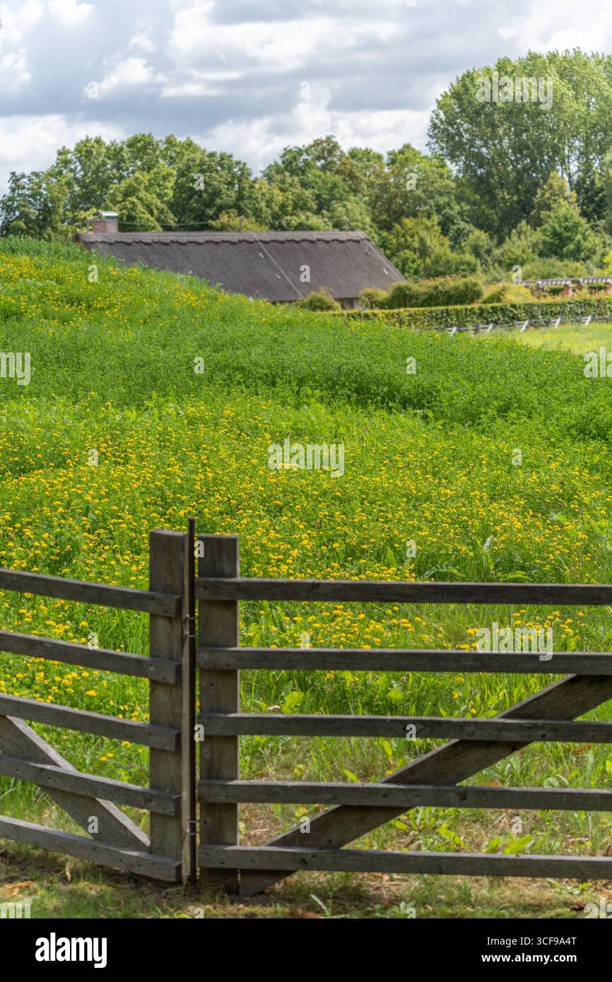 Farm gate with meadow and thatched roof house. A wooden farm gate opens ...