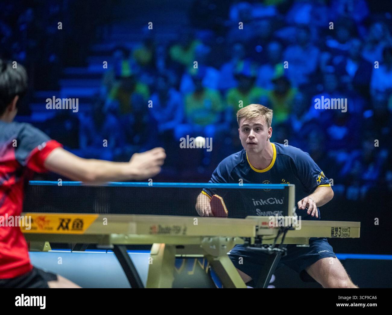 MALMÖ, SVERIGE 20250821Sveriges Truls Möregårdh mot Cho Dawseong från ...