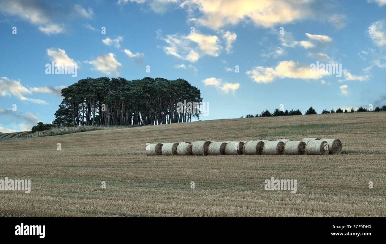 Gentle landscape setting hi-res stock photography and images - Alamy