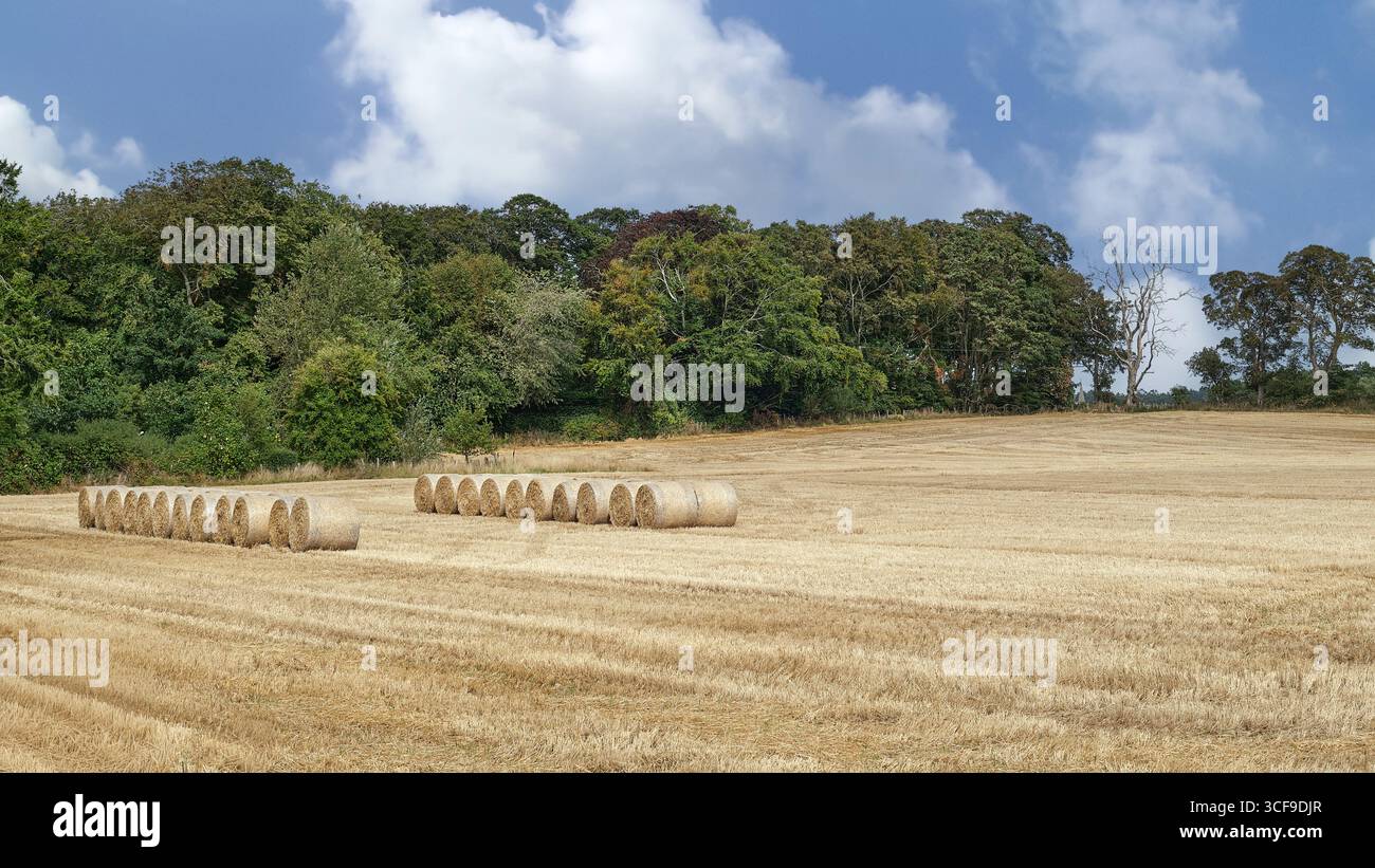 Gentle landscape setting hi-res stock photography and images - Alamy