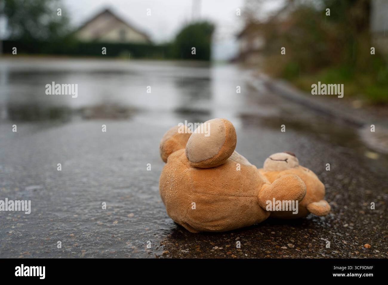 Bavaria, Germany August 21, 2025: A teddy bear lies helplessly on the ...