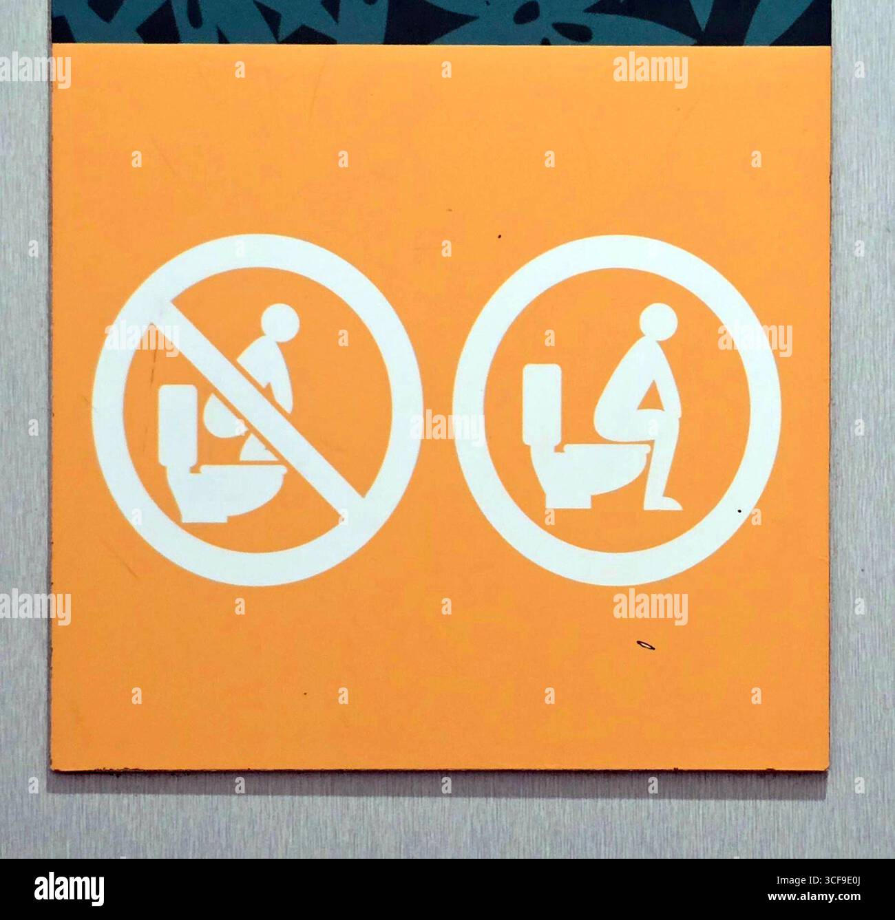 Toilettenschild Cairns, Queensland, Australien, Australia, *** Toilet ...