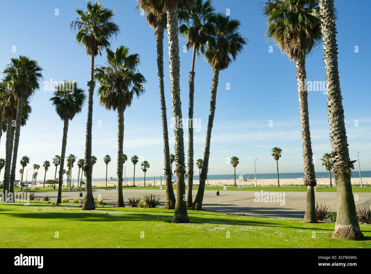 Venice usa blue house hi-res stock photography and images - Alamy