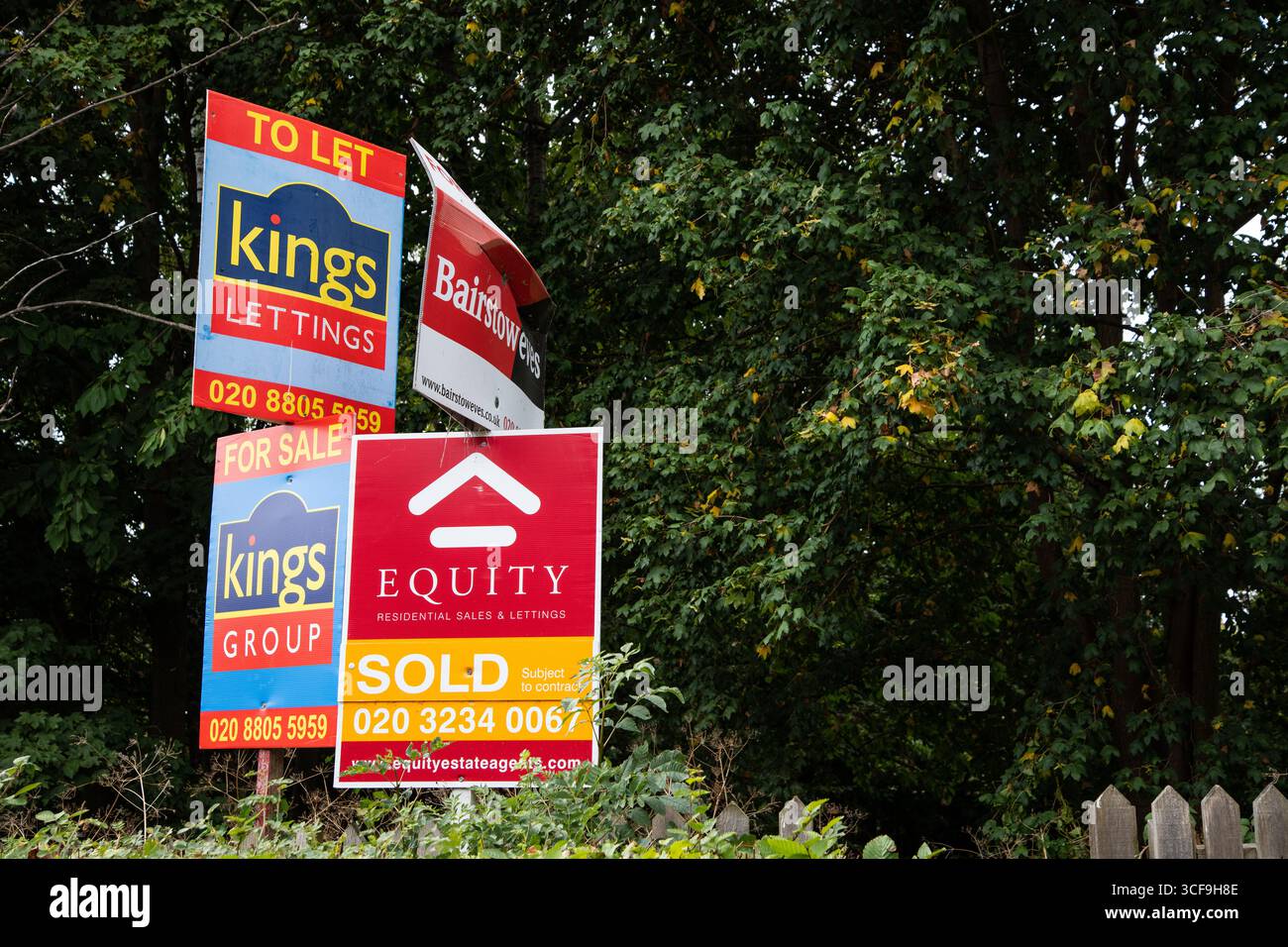Enfield, UK 19 August 2025 Multiple estate agent signs clustered together against a bushy ...