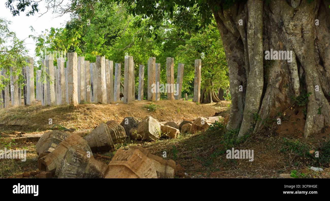 Stone pillars and pillar heads, ruins of ancient city of Anuradhapura ...