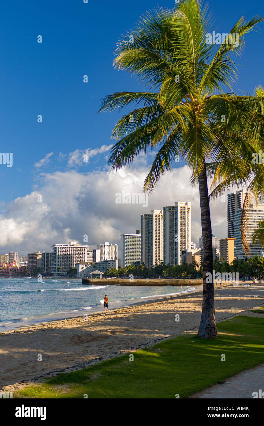 Coconut palms frame the view of Waikiki Beach, Oahu, Hawaii, USA Stock ...