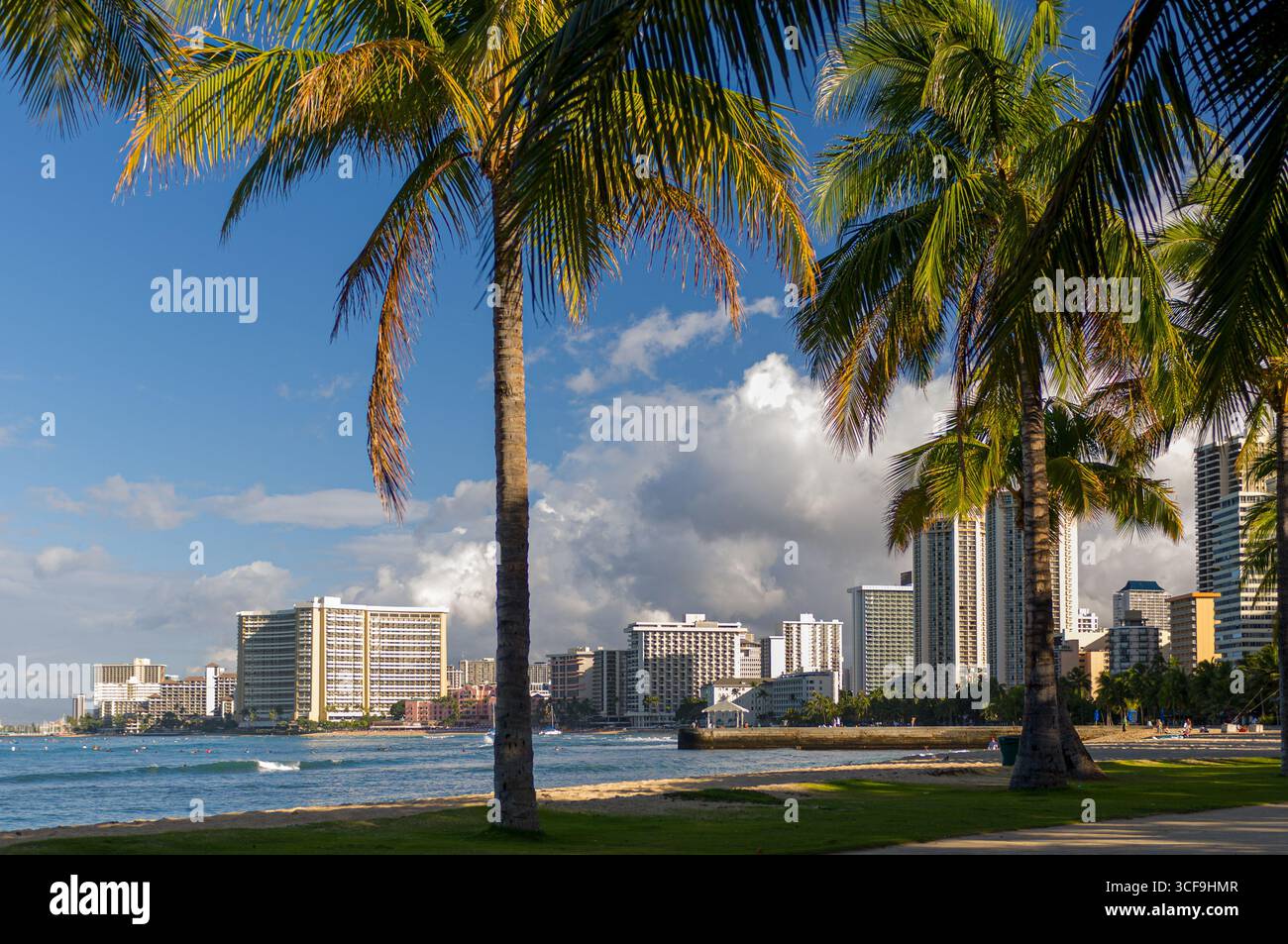 Coconut palms frame the view of Waikiki Beach, Oahu, Hawaii, USA Stock ...