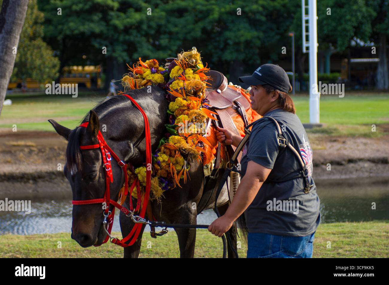 Female volunteer standing with a horse adorned with garland before the ...