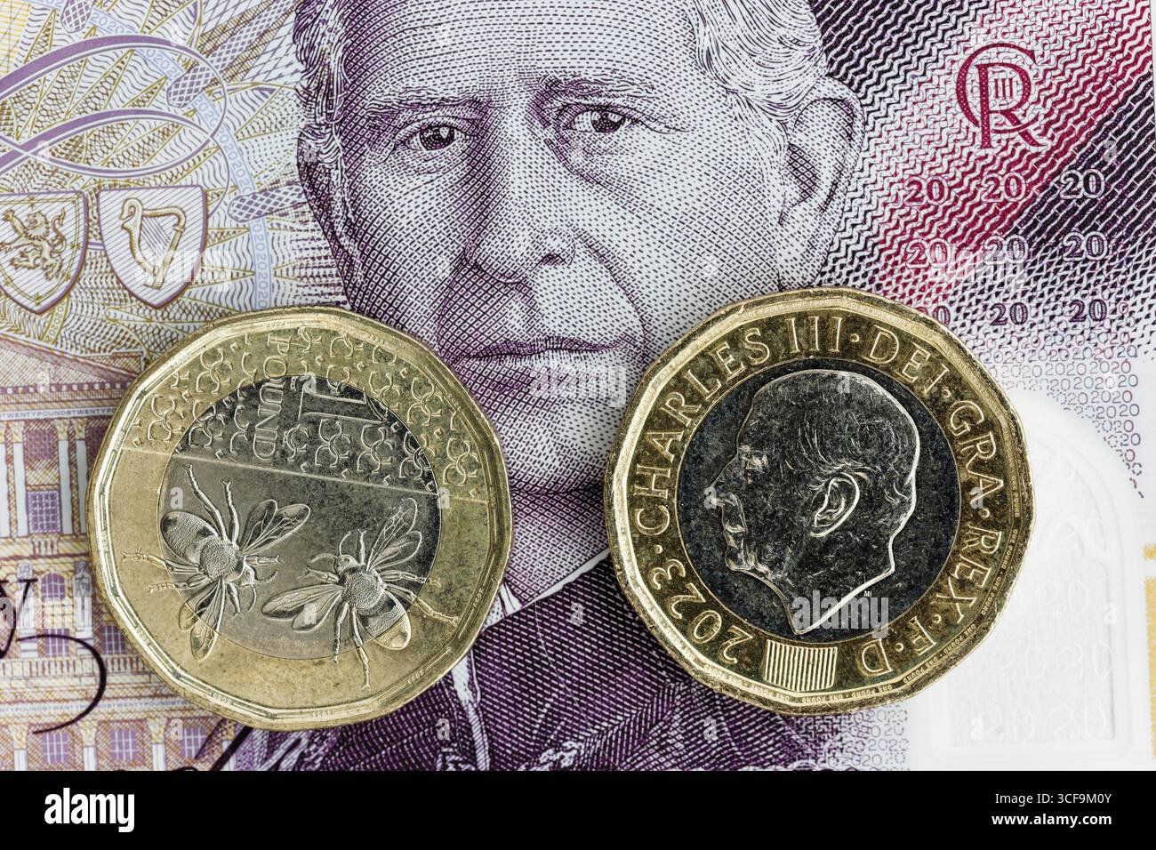 King Charles the third one pound coin featuring bees to symbolise the ...