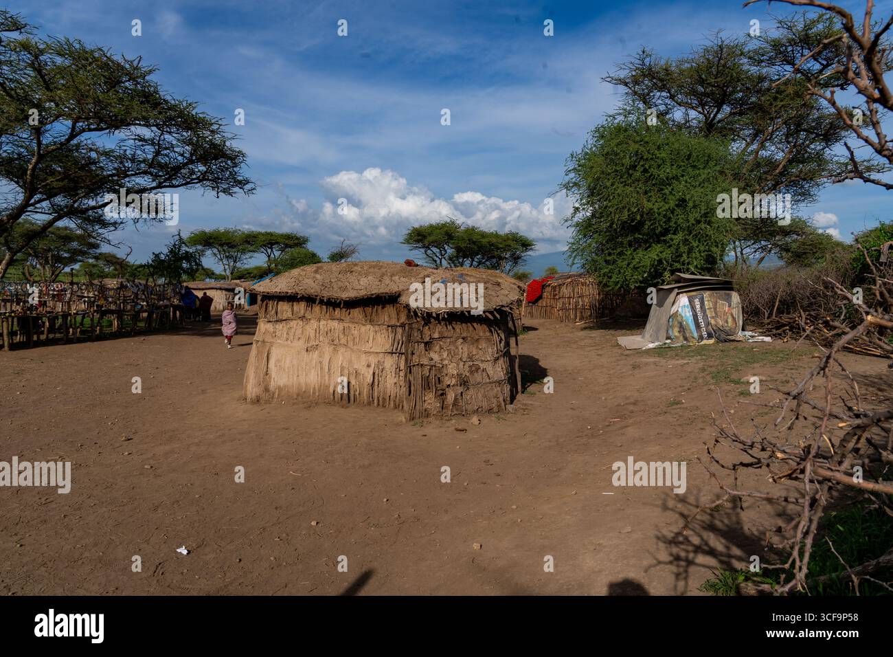 Traditional Maasai Hut in Village, Tanzania Stock Photo - Alamy
