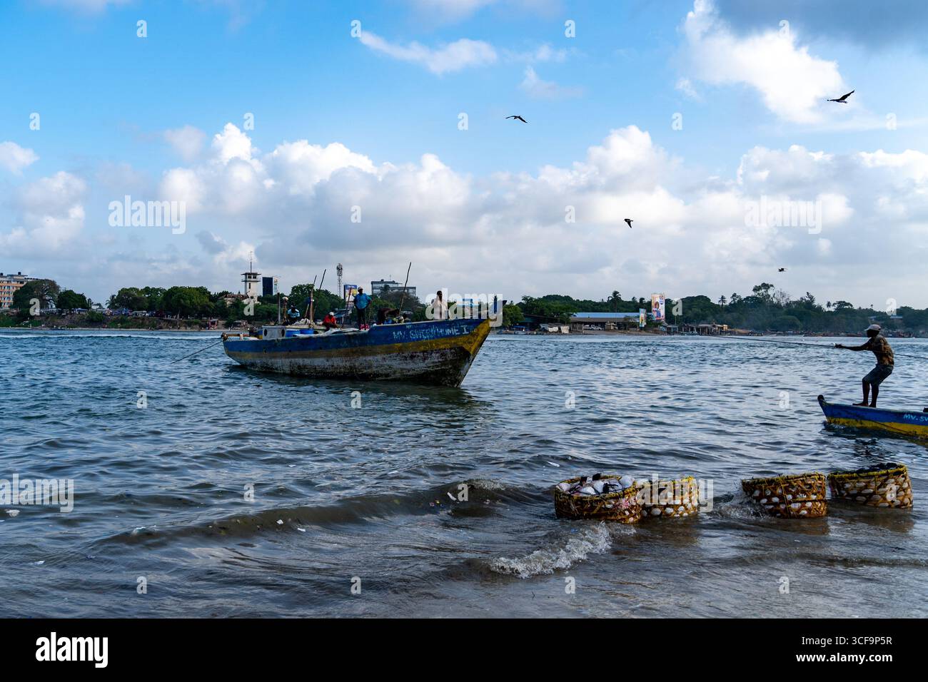 Fishing Boats and Fresh Catch on the Shoreline in Dar es Salaam ...